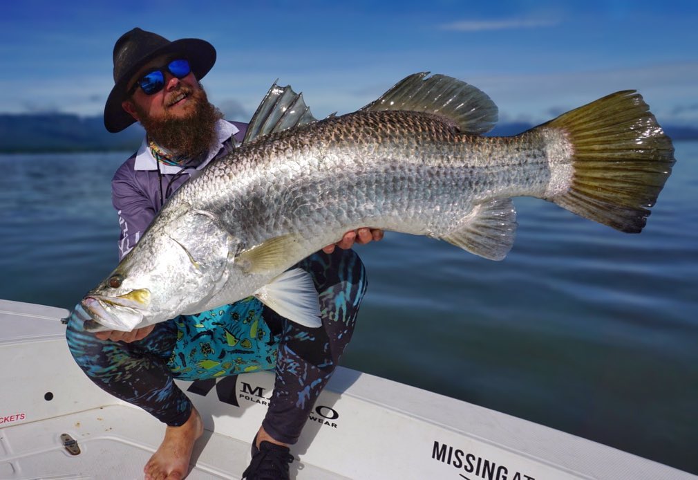 Giant Barramundi
